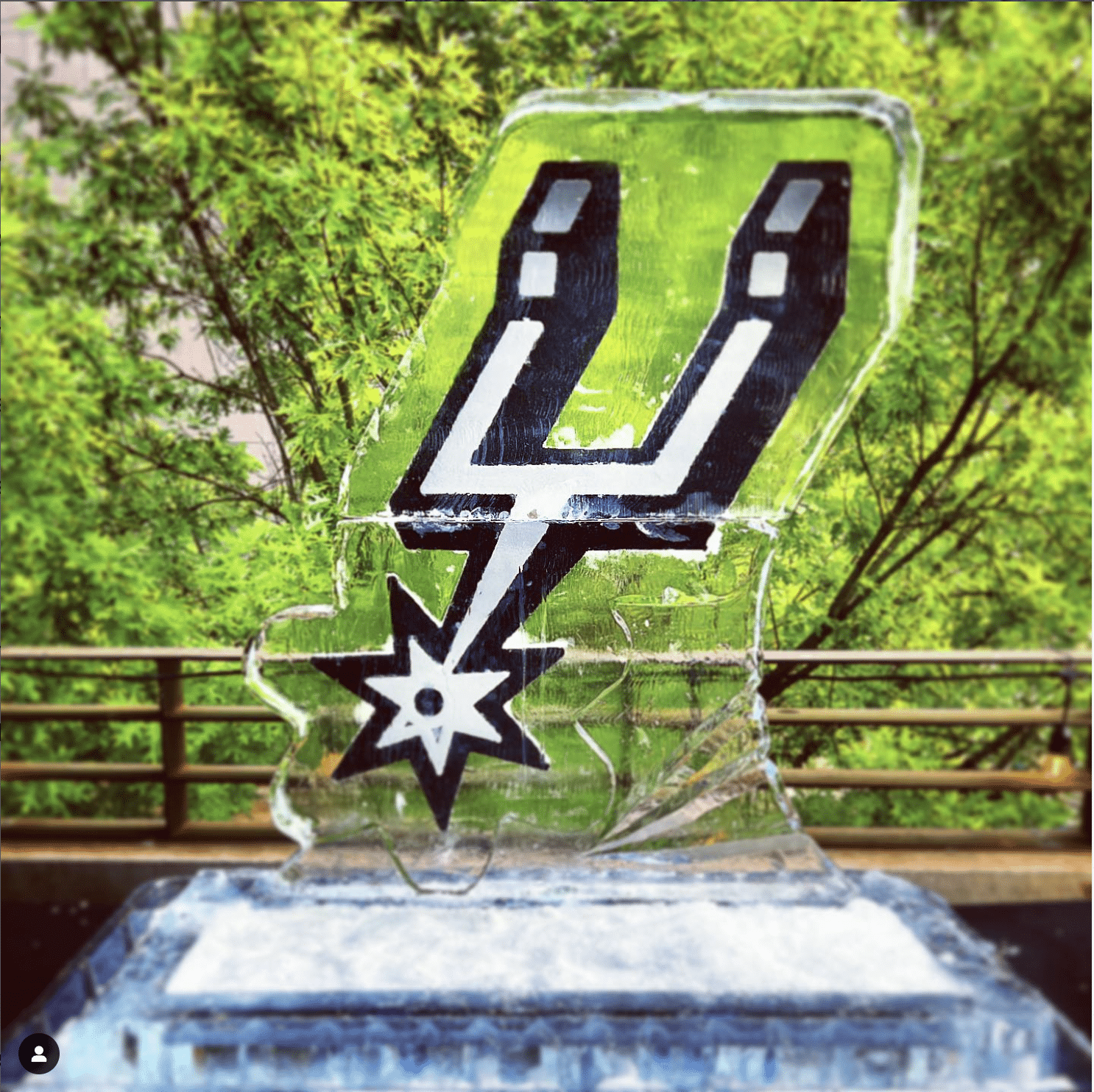 Texas Themed Ice Sculptures for Austin Events – Full Spectrum Ice ...