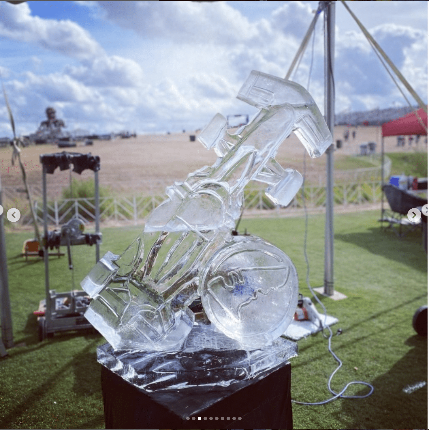 Texas Themed Ice Sculptures for Austin Events – Full Spectrum Ice ...